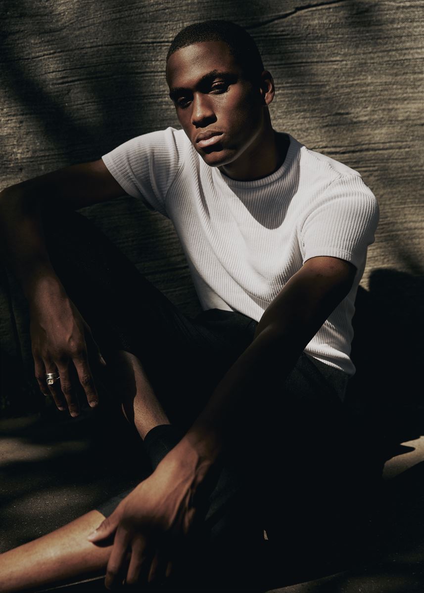 BRAVE MODELS - BRIAN LUBIN